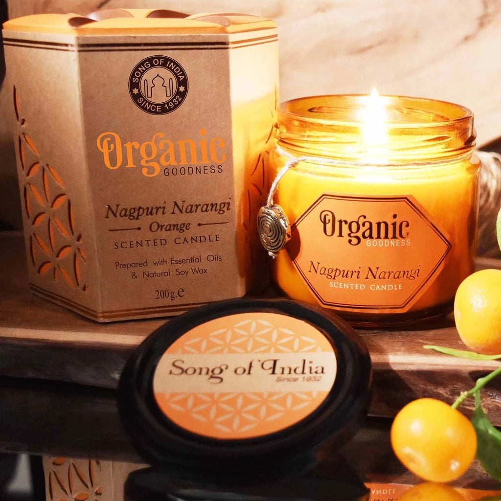 Organic Goodness Orange Candle – Drawnwest